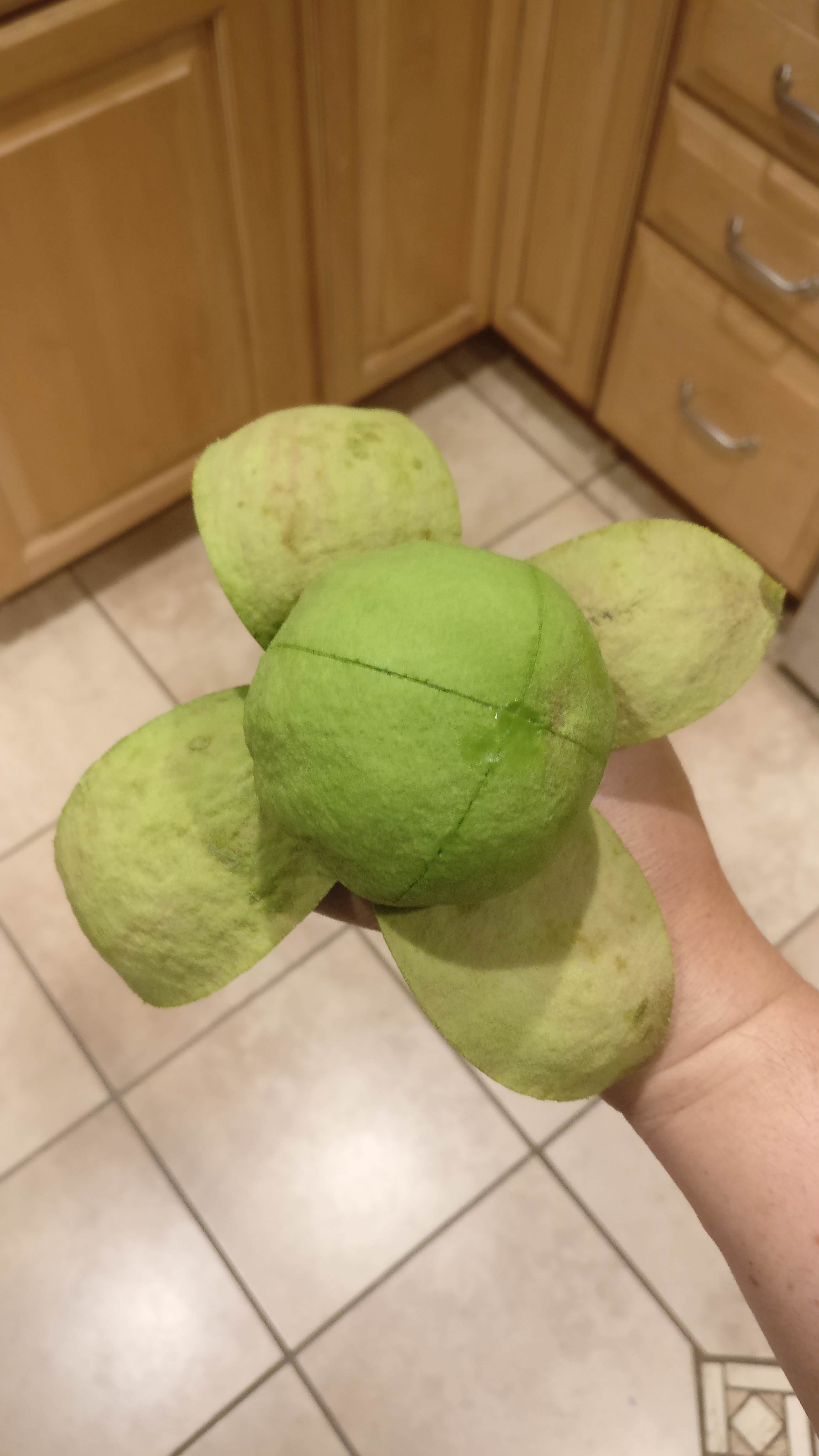 Upskirt shot of my perfect bottom. | Scrolller