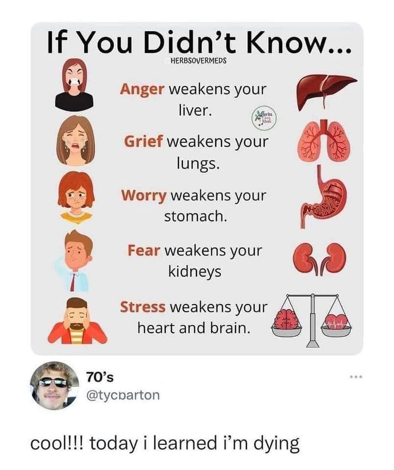 Useful information | Scrolller