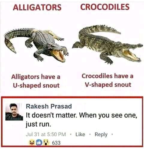 Useless RED Circle | Scrolller