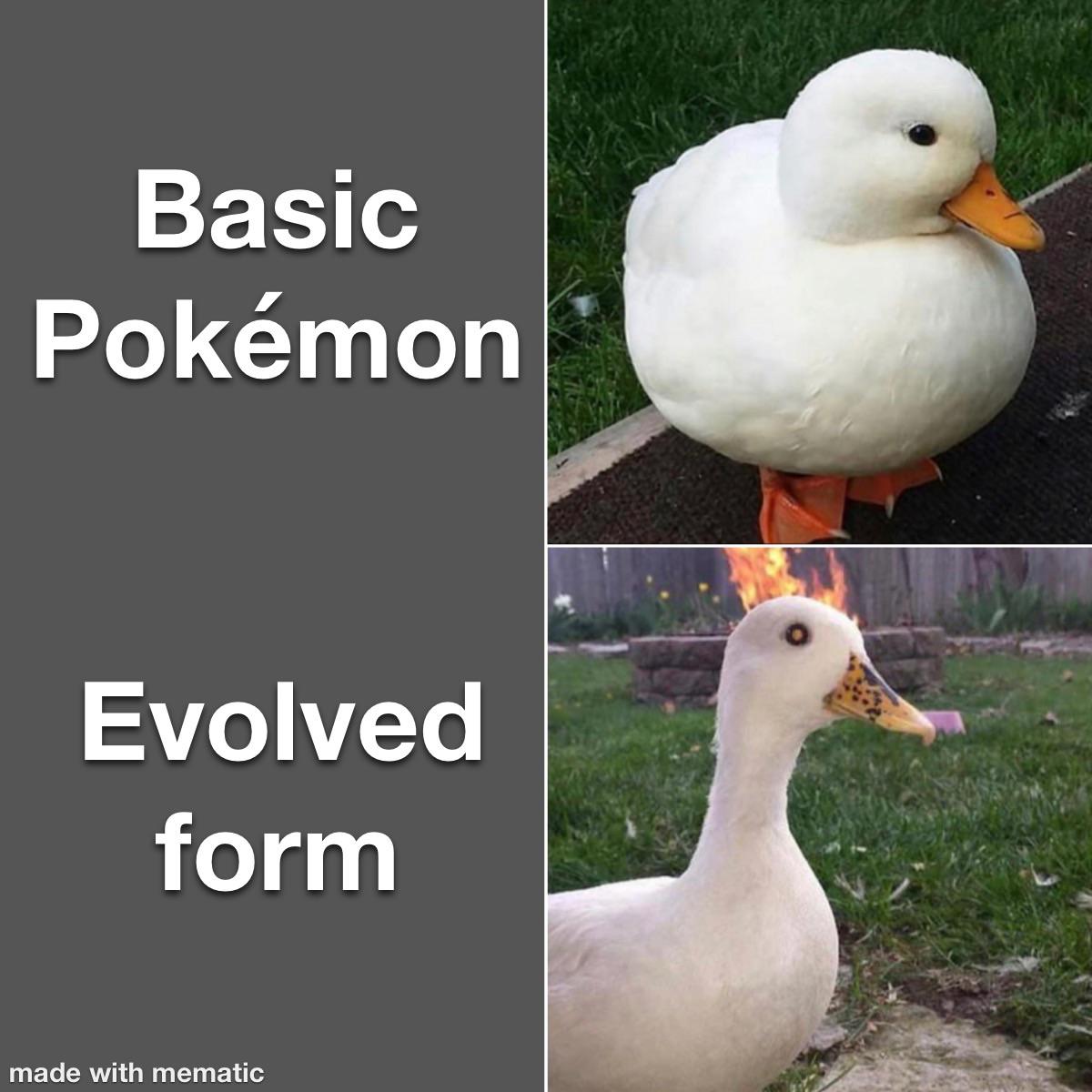 Vary slight differences | Scrolller