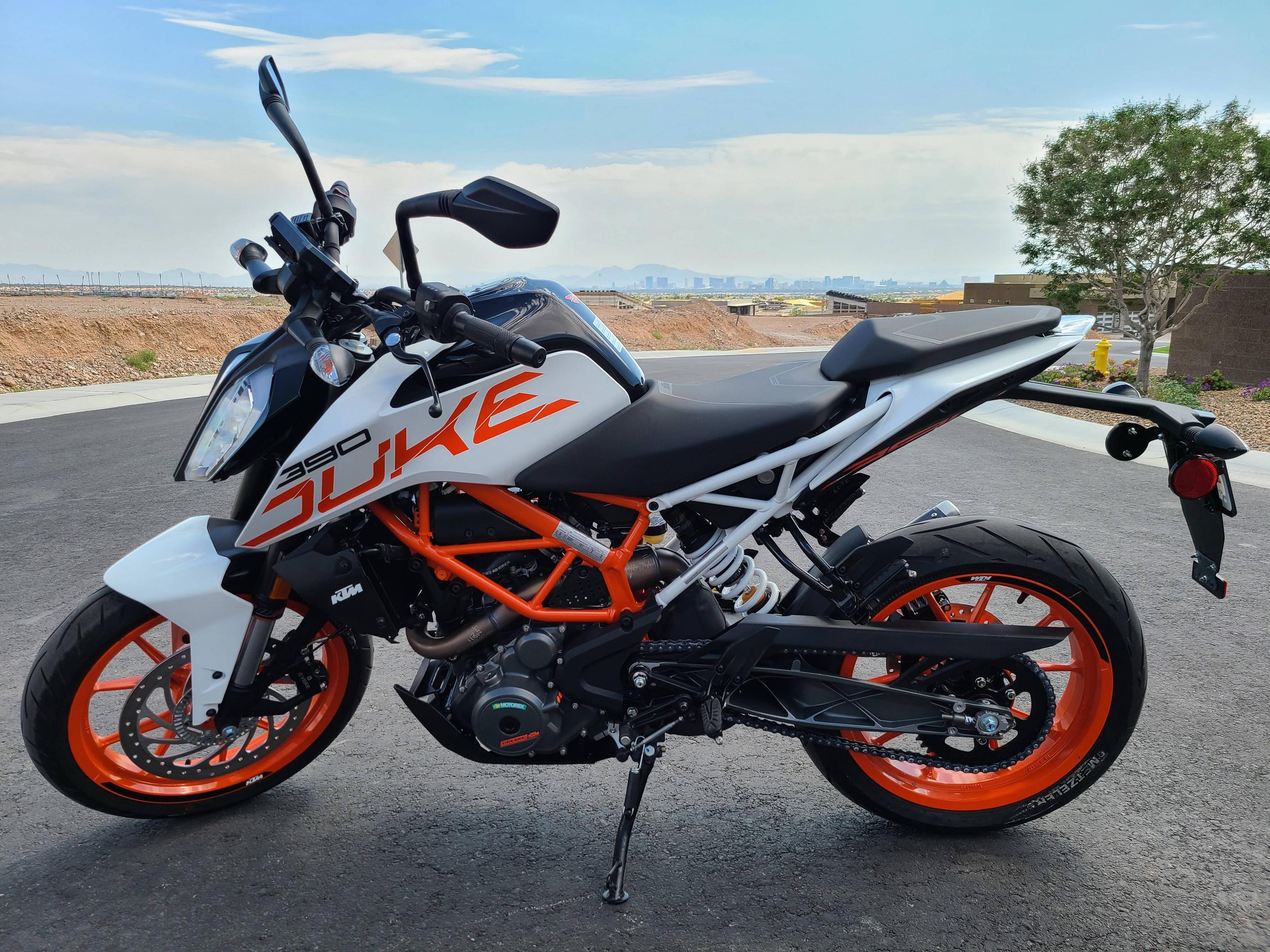 Vegas, checking in. | Scrolller