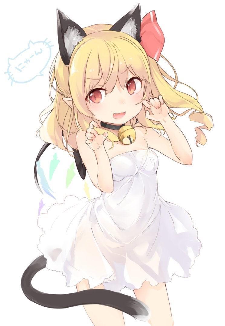 Very cute neko | Scrolller