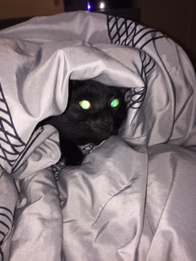 Very dangerous void | Scrolller