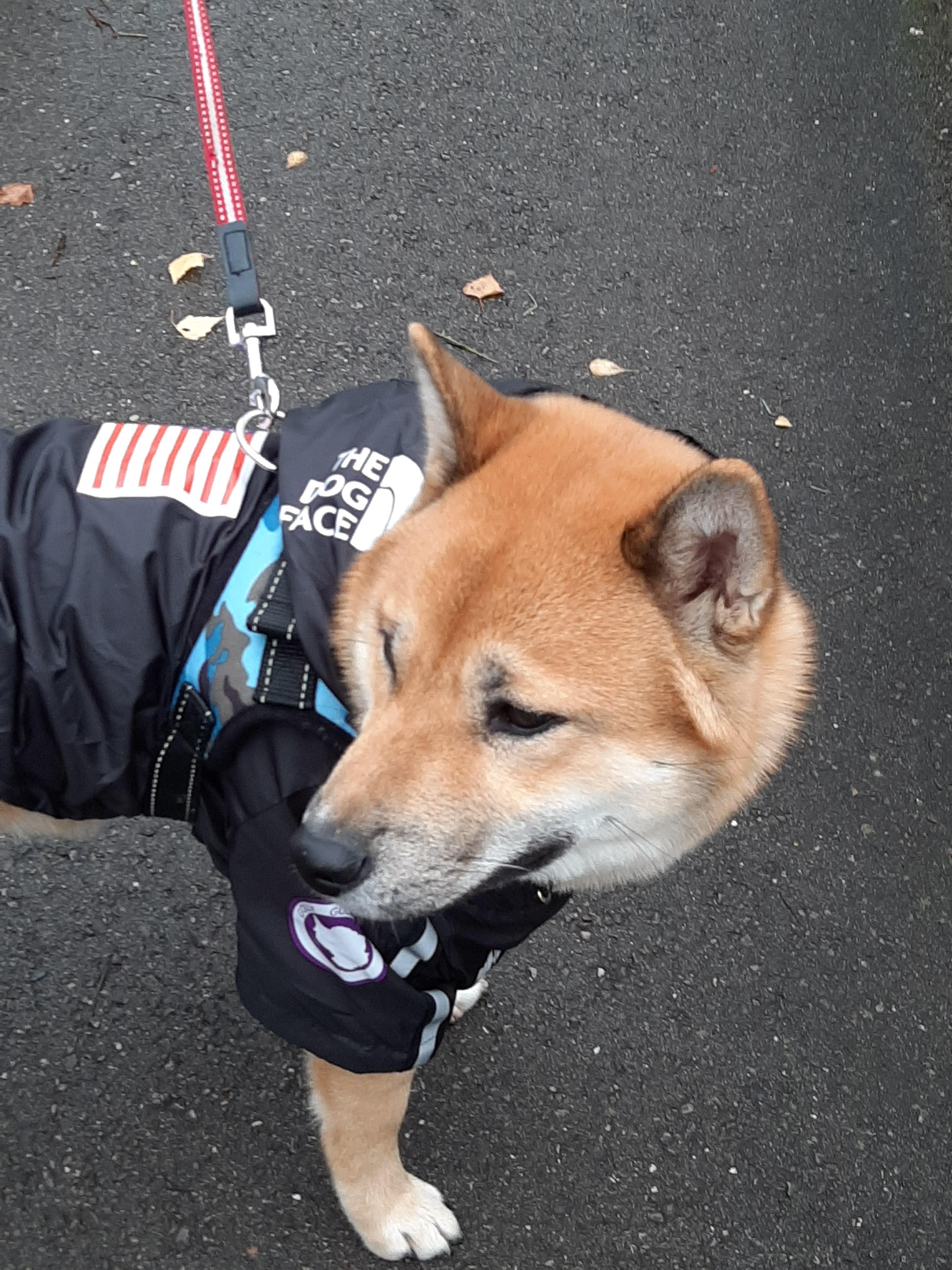 Very Handsome boy | Scrolller