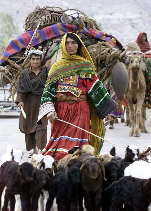 Very regal Afghan Kochi woman | Scrolller