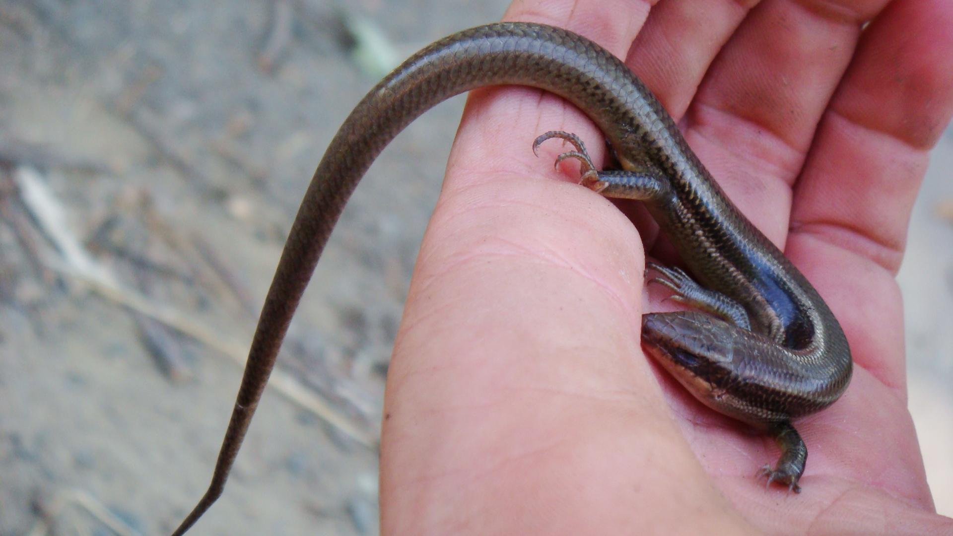 very shiny | Scrolller