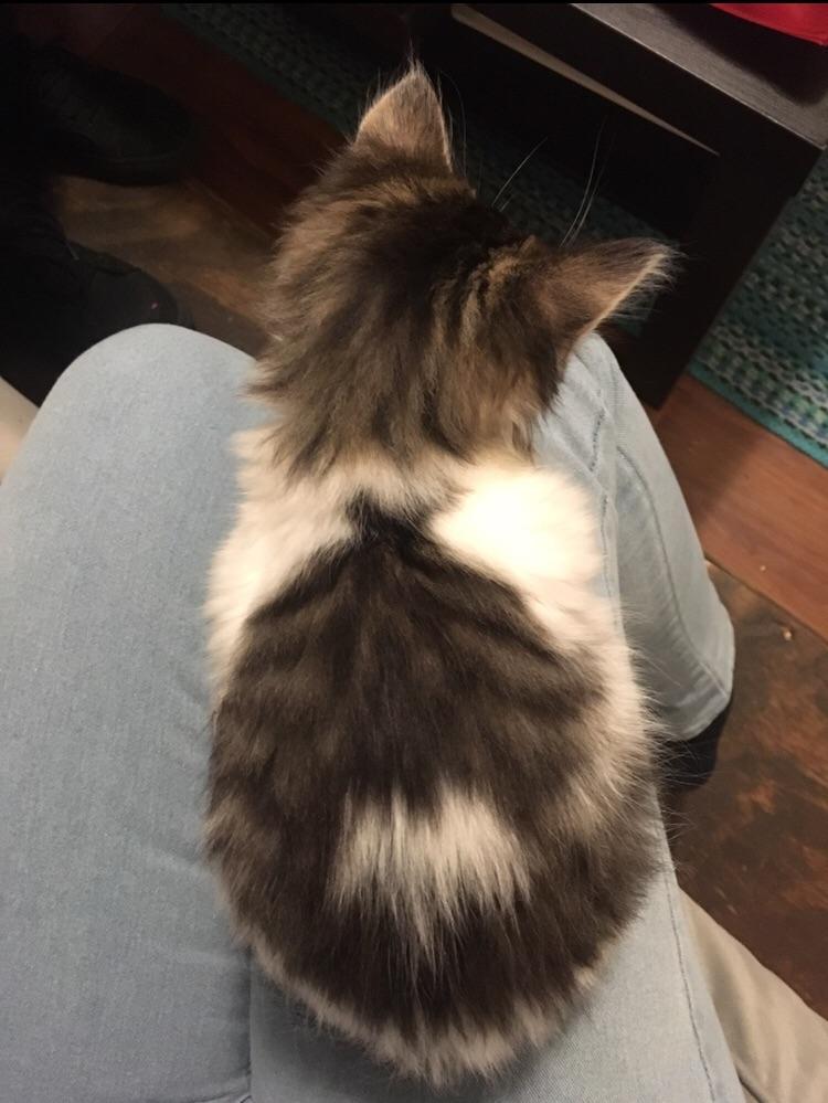 very smol loaf | Scrolller