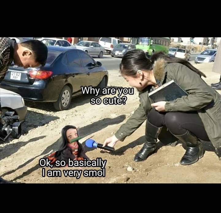 Very smol | Scrolller