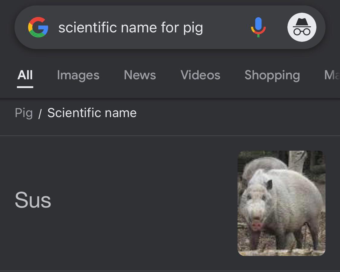 Very sus indeed | Scrolller