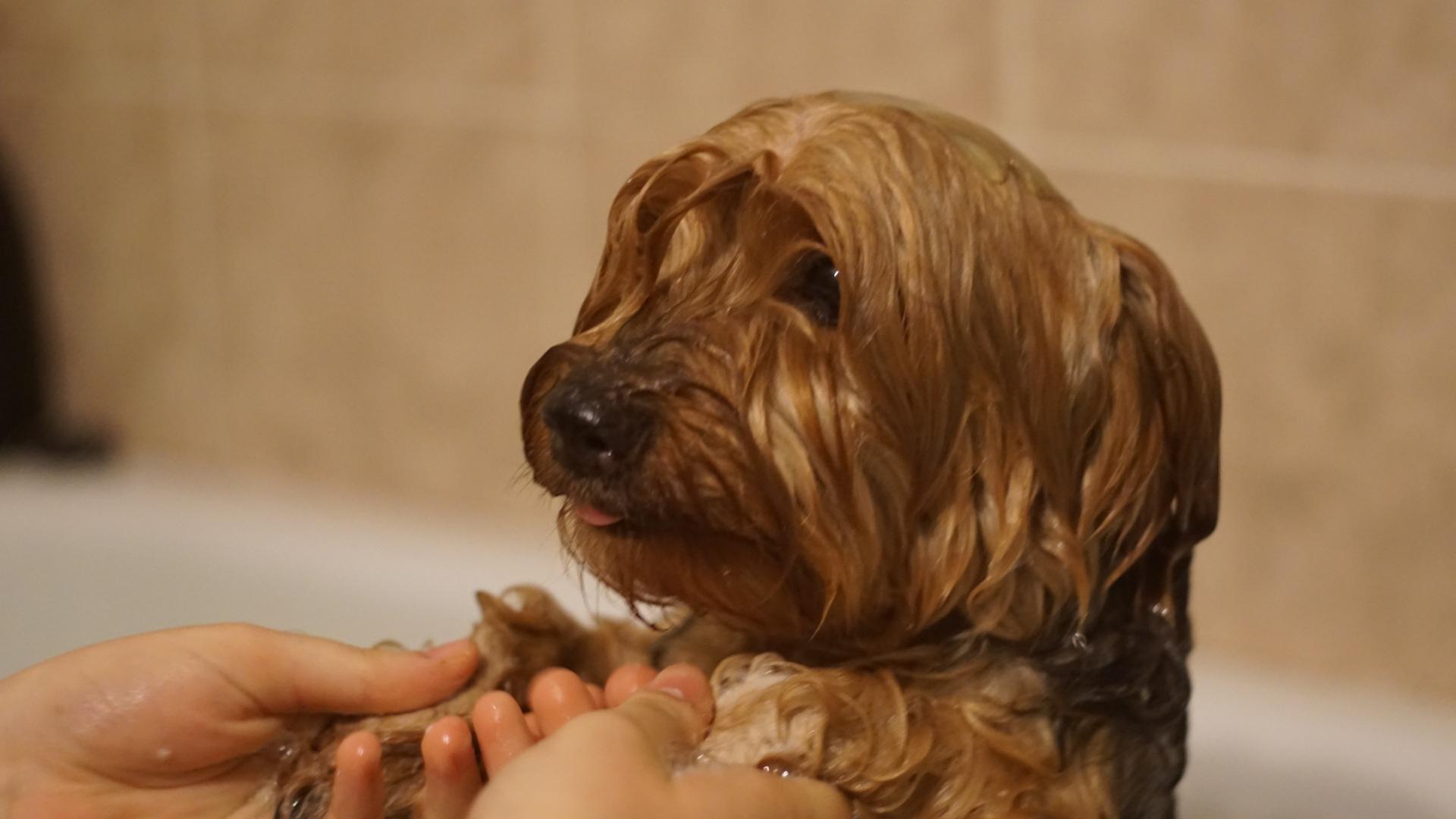 Very very small bathroom mlem | Scrolller