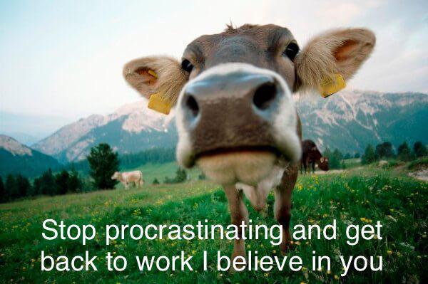 Very wise | Scrolller