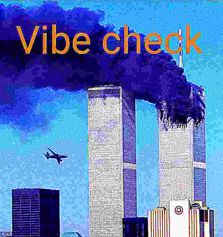 Vibe check! | Scrolller