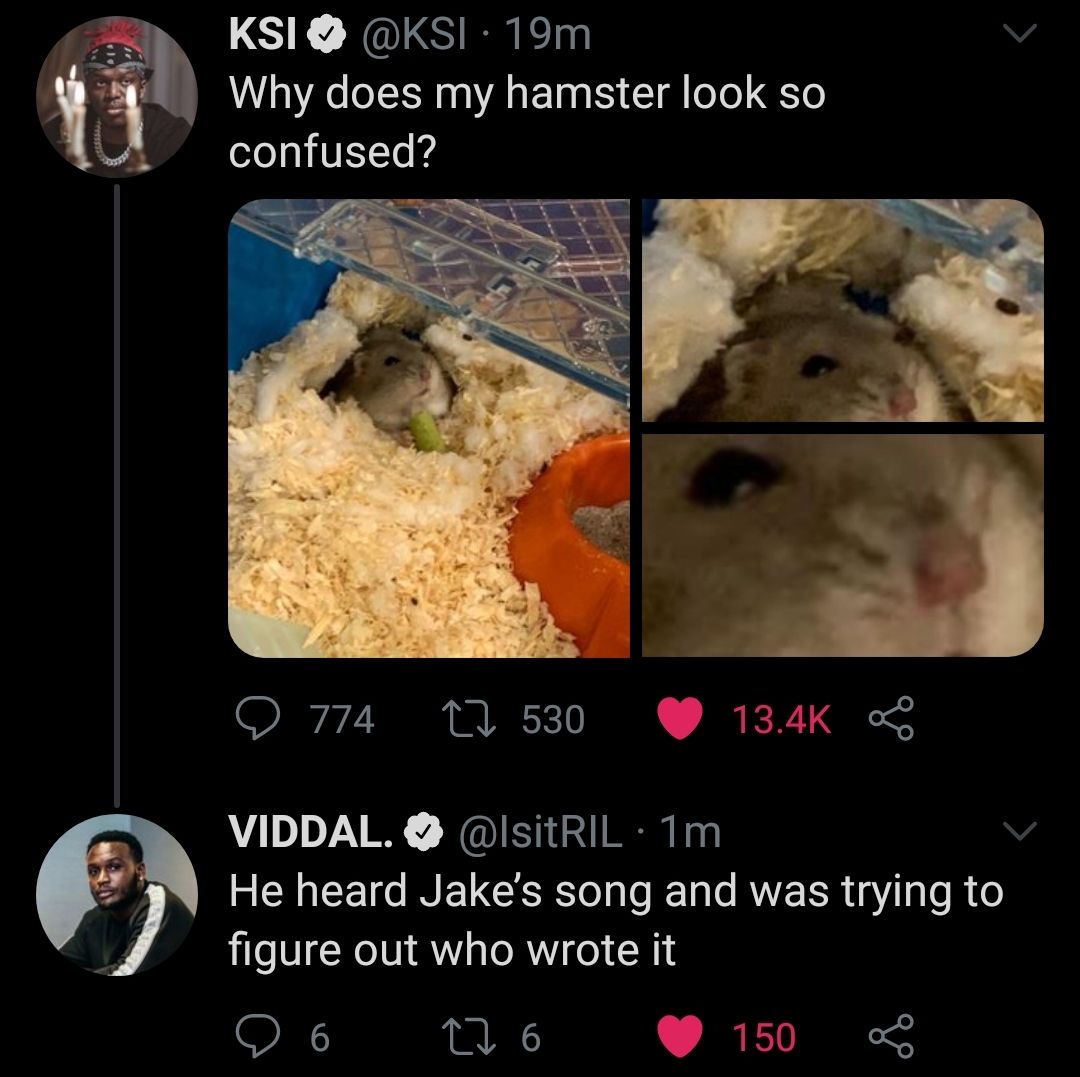 Viddal is too funny | Scrolller