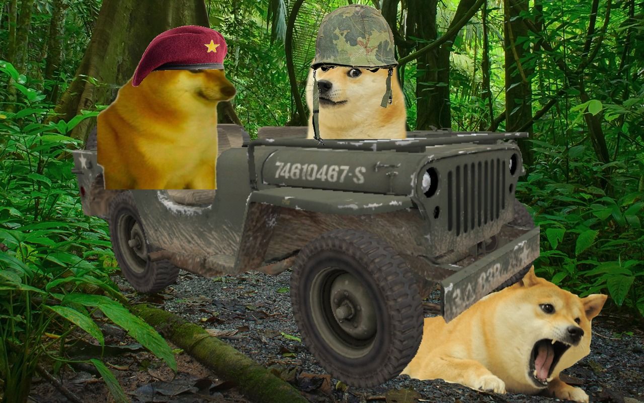 Vietnam 1971 colonel cheems arrived | Scrolller