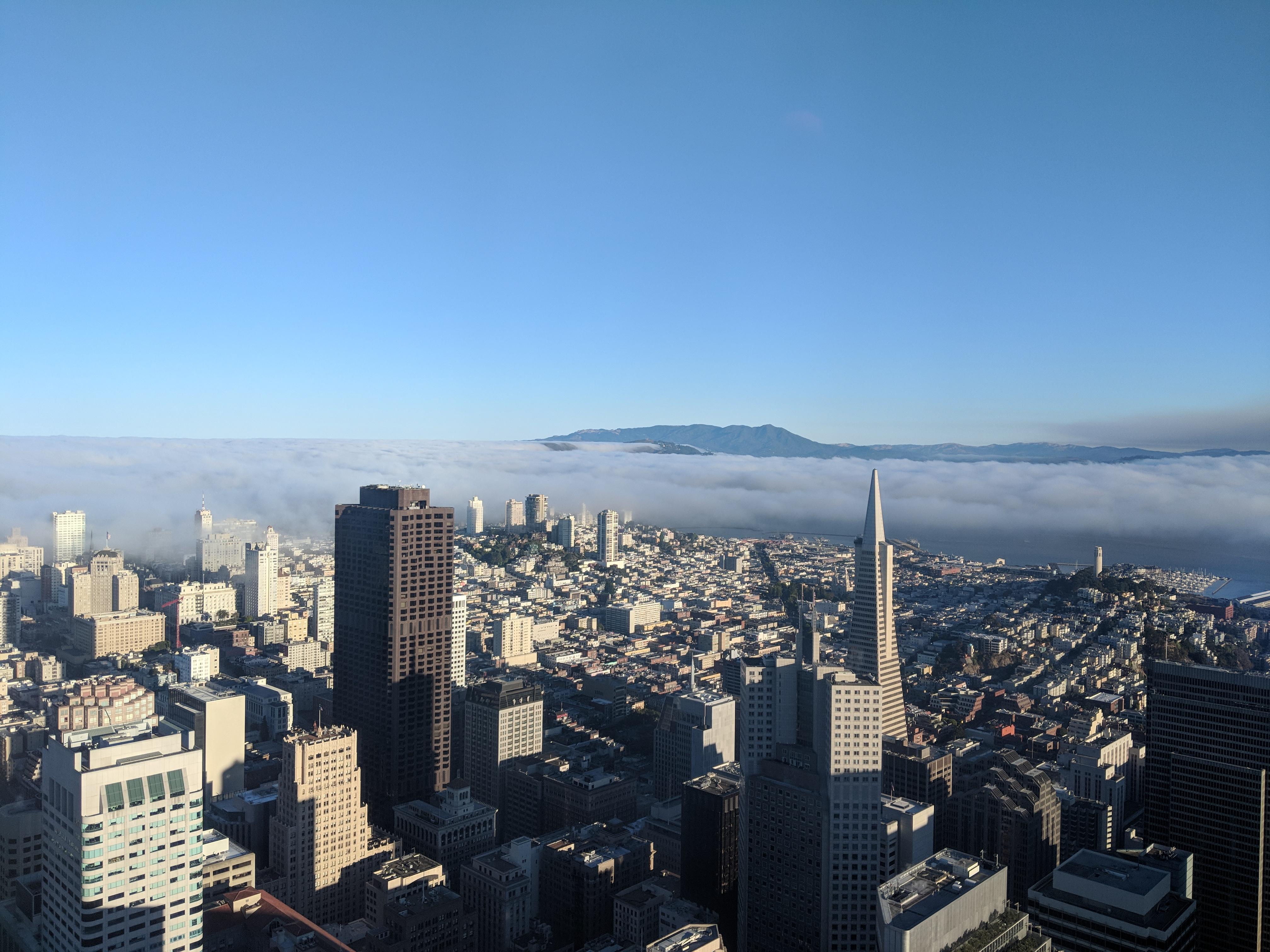 View from atop Salesforce tower | Scrolller