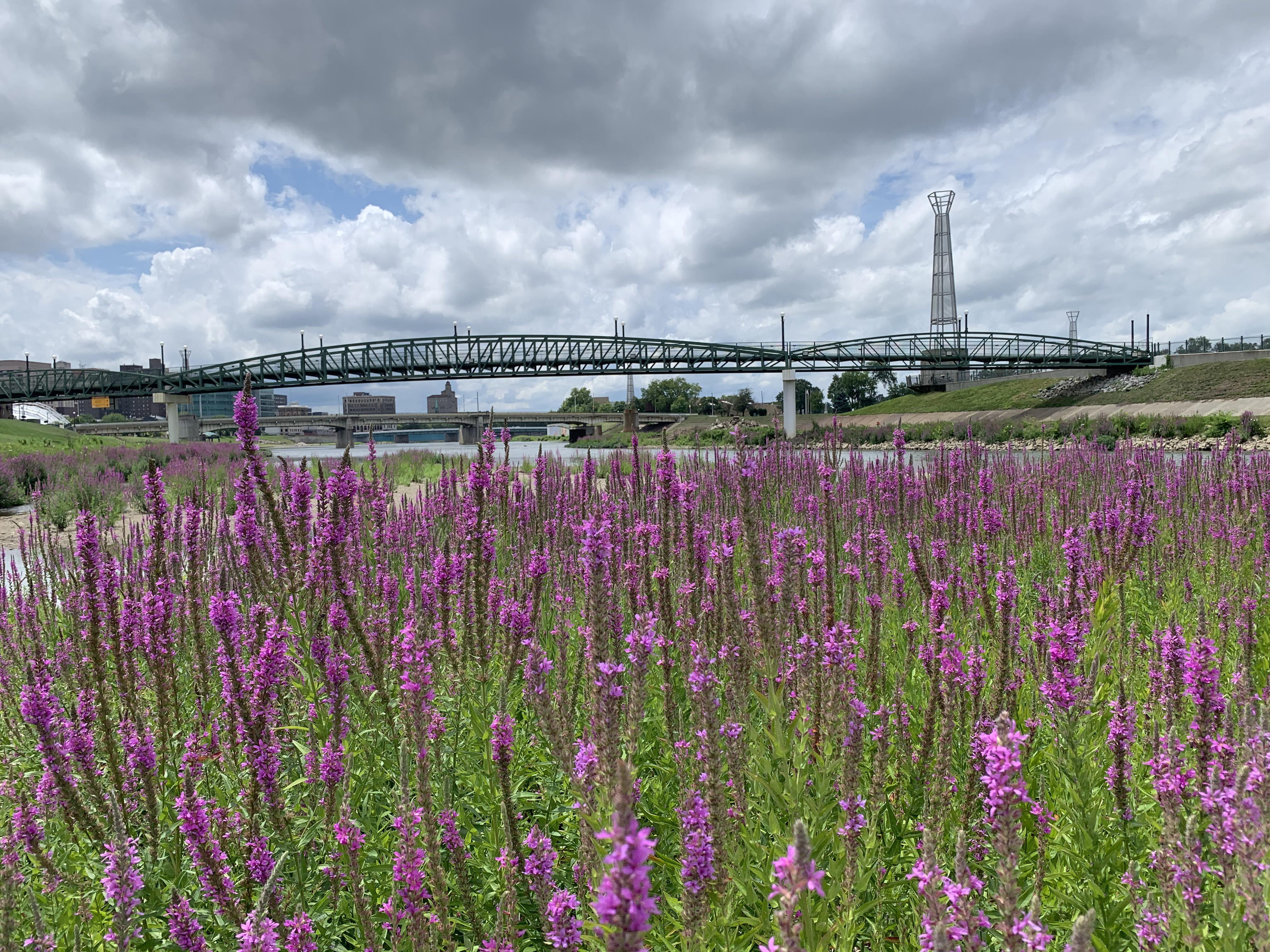 View from Mad River | Scrolller