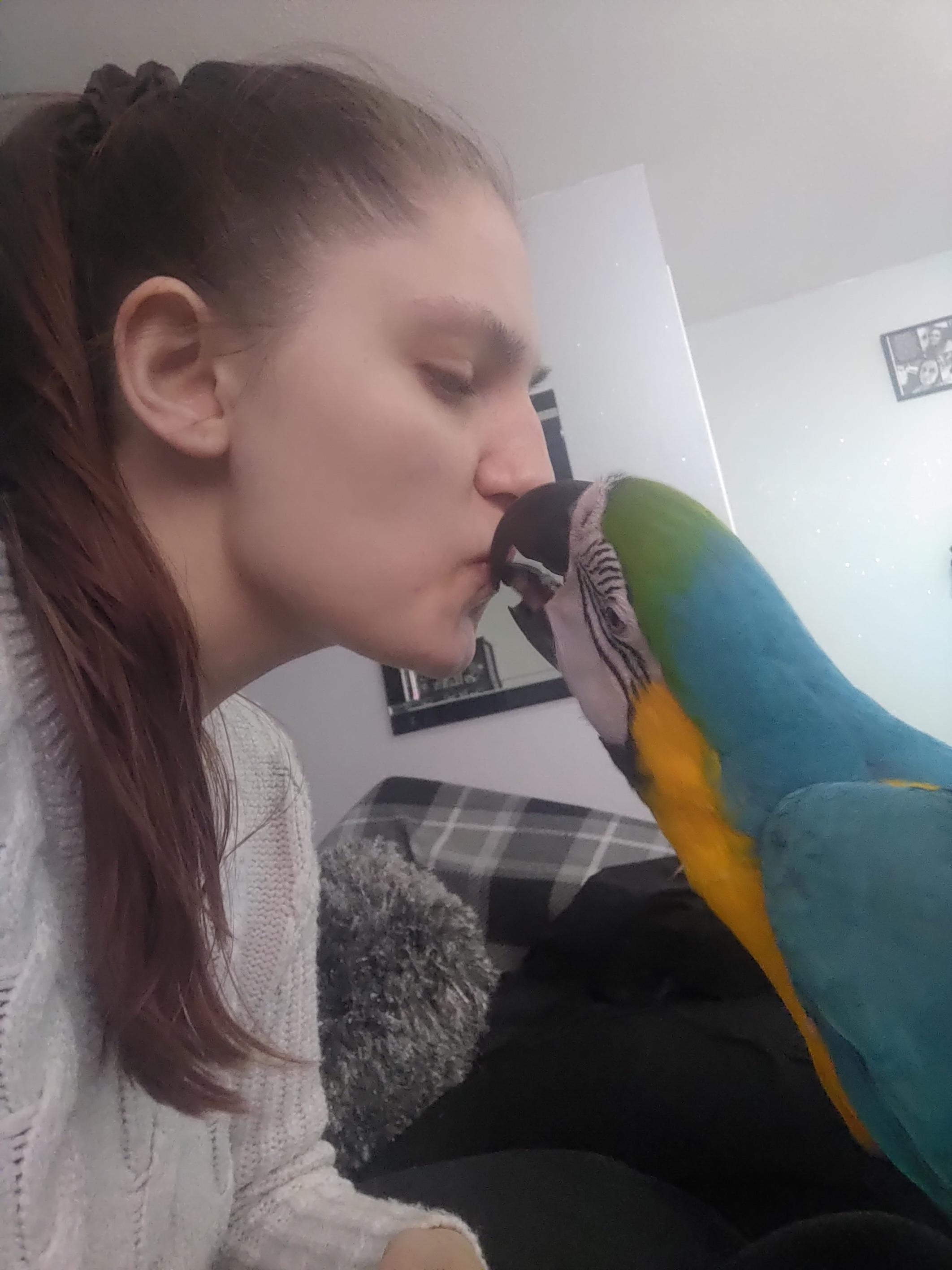 Vinny kisses make everything better | Scrolller