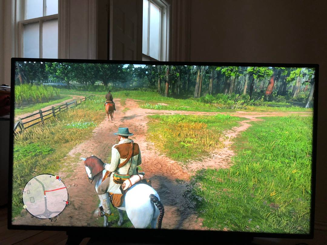 Virtual Desire Path in Red Dead Redemption 2 | Scrolller