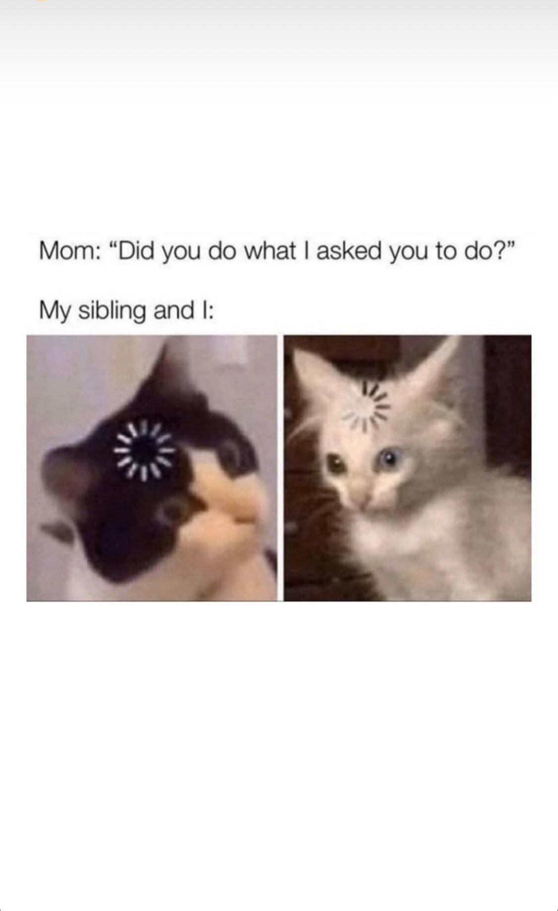 *Visible confusion | Scrolller