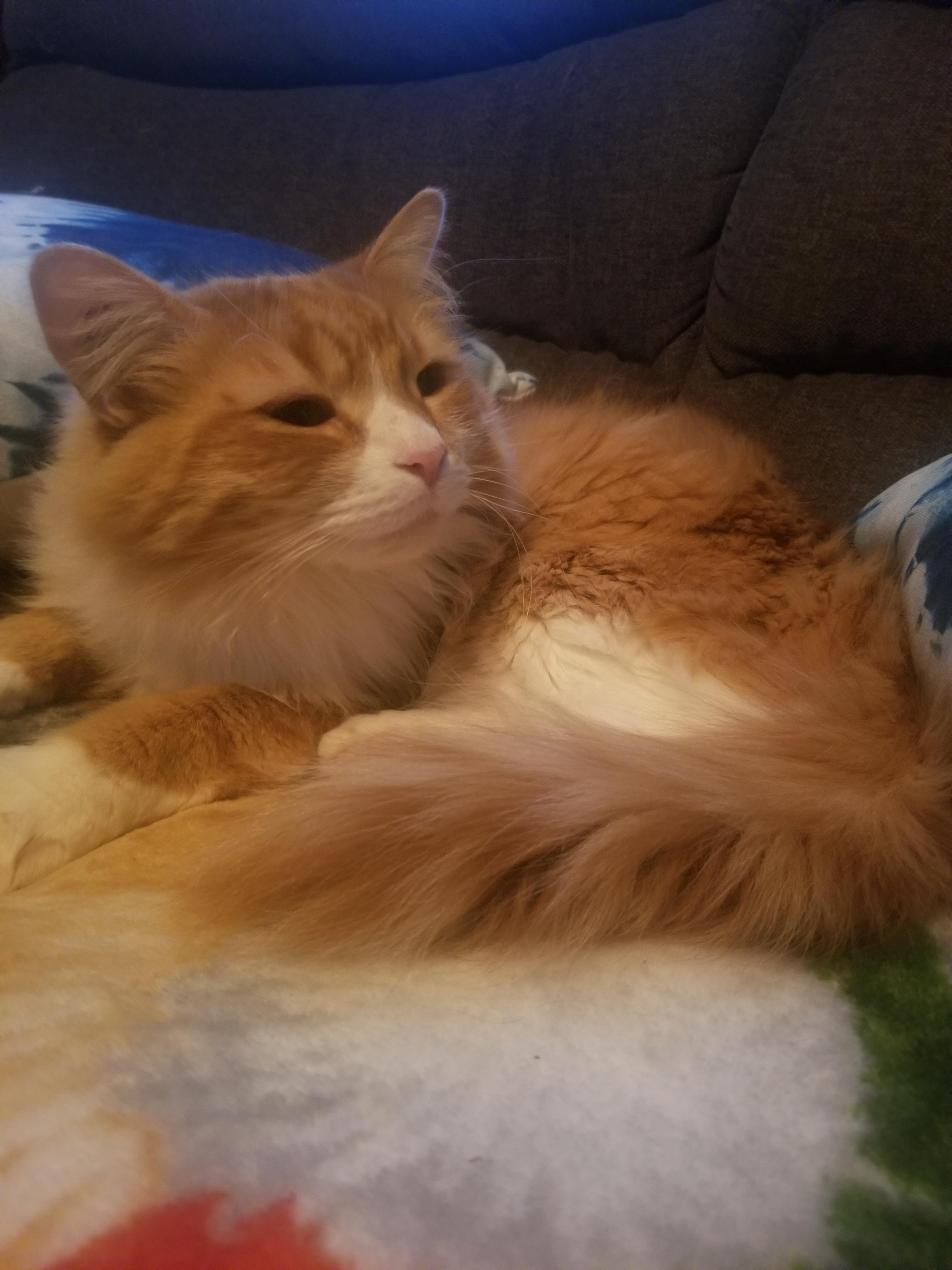 Visited my sister in law and Percy | Scrolller