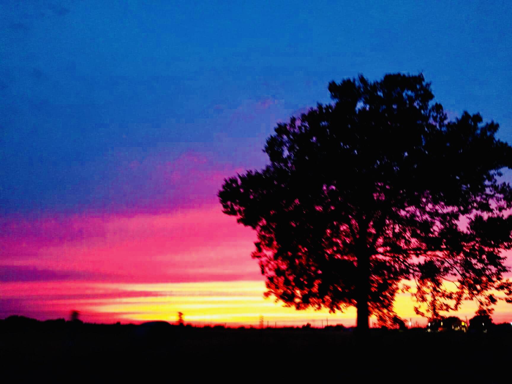 Vivid sunset and the lonely oak tree | Scrolller