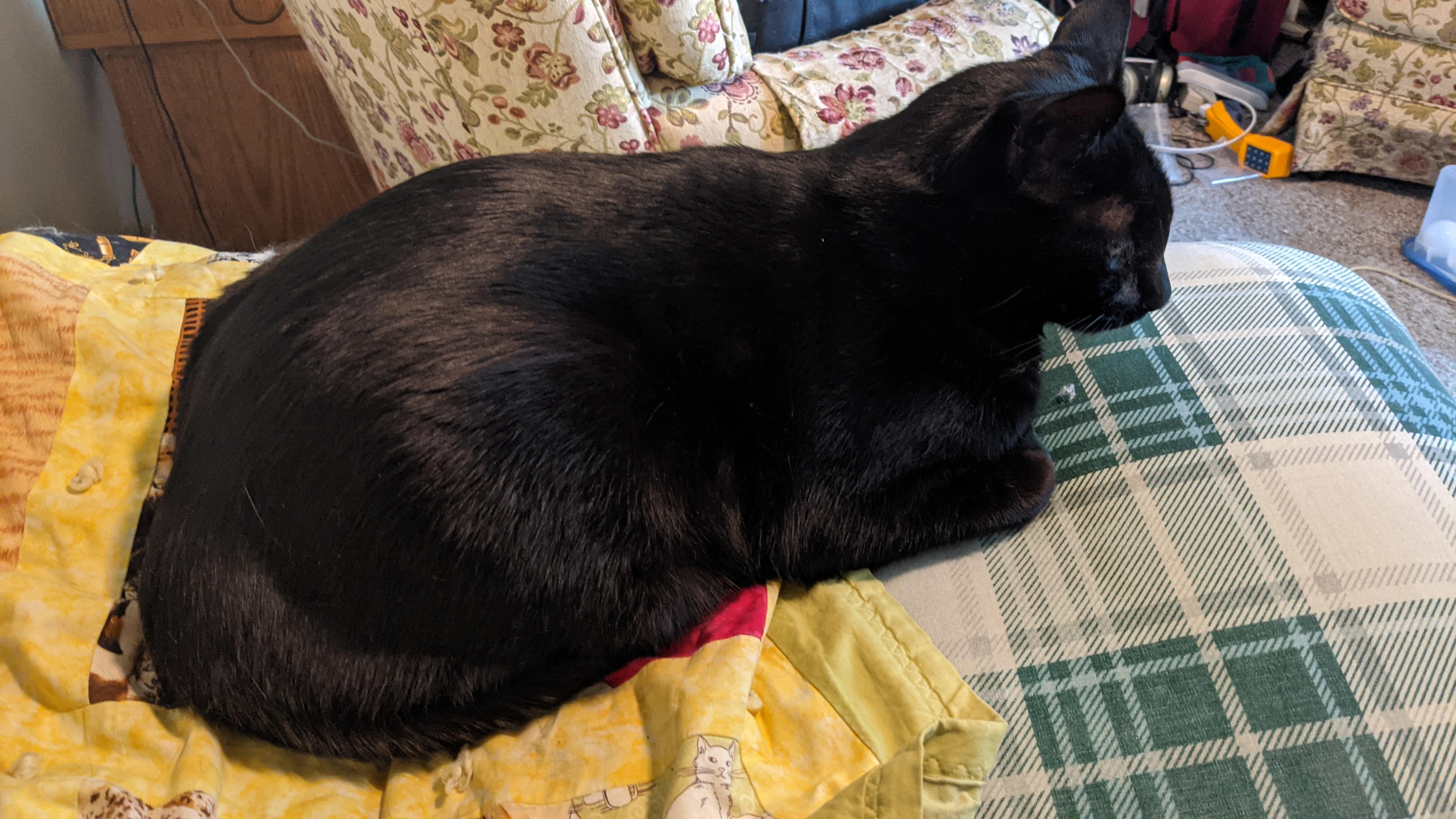 Void blob | Scrolller