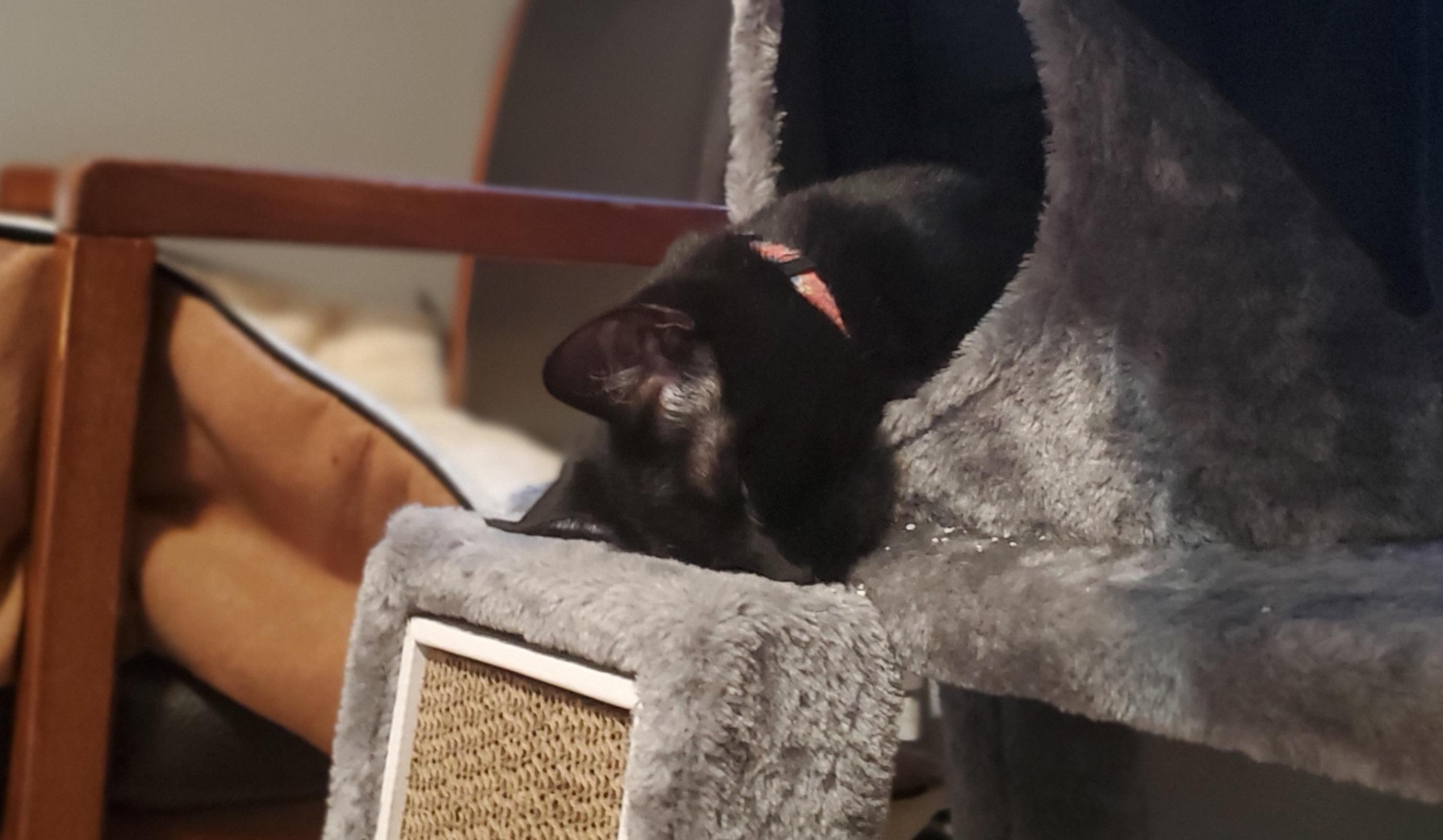 Void overflowing her container. | Scrolller