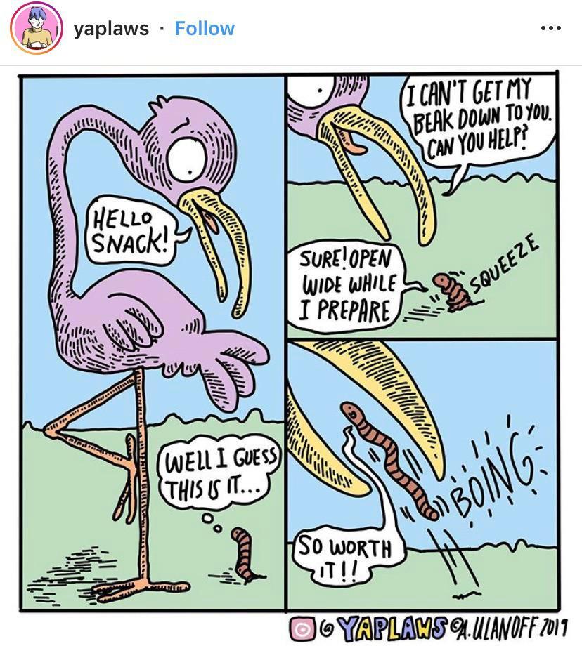 Vore_irl | Scrolller