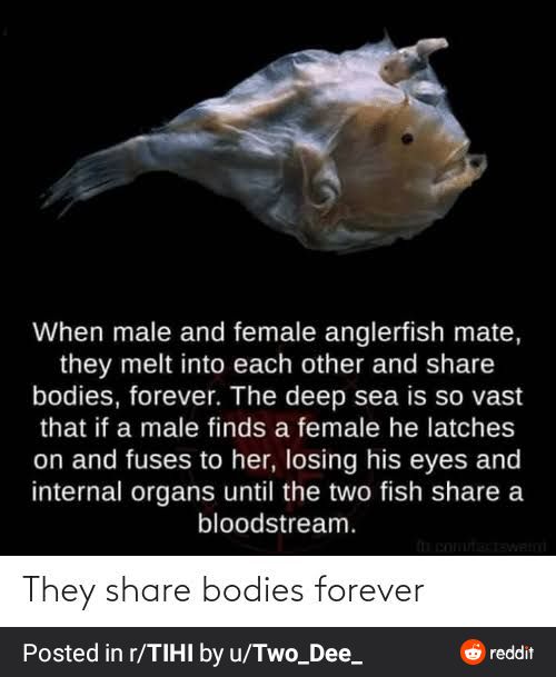 Vore_irl | Scrolller