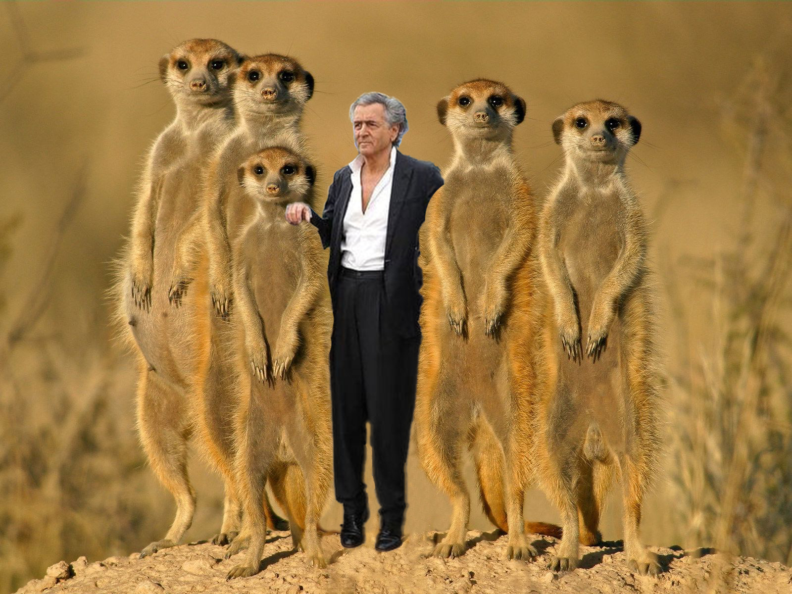 VU CHEZ NATIONAL GEOGRAPHIC... | Scrolller