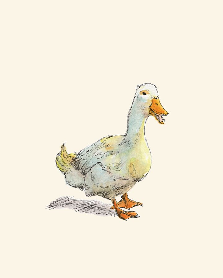 Waddle Duck | Scrolller