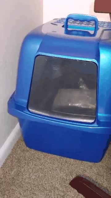 Wait... how does this... wait a minute... | Scrolller