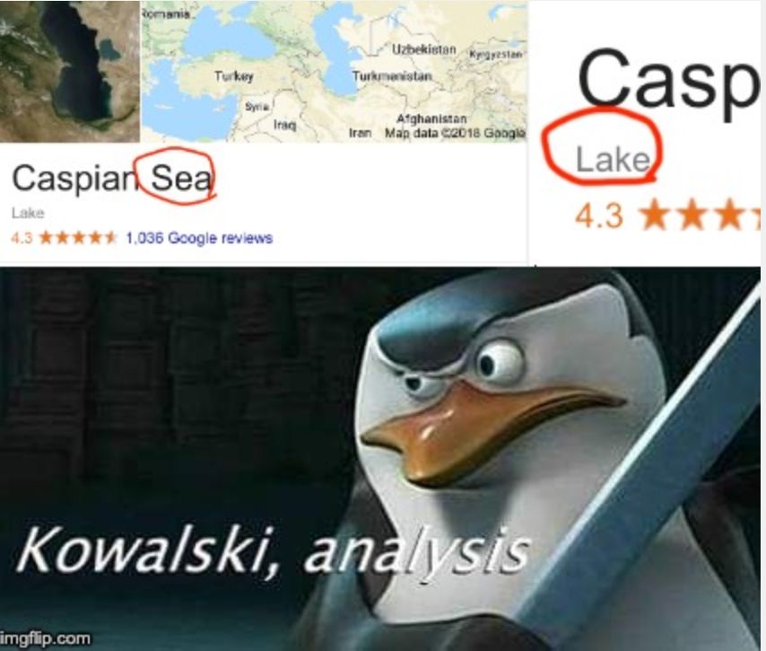 wait what | Scrolller