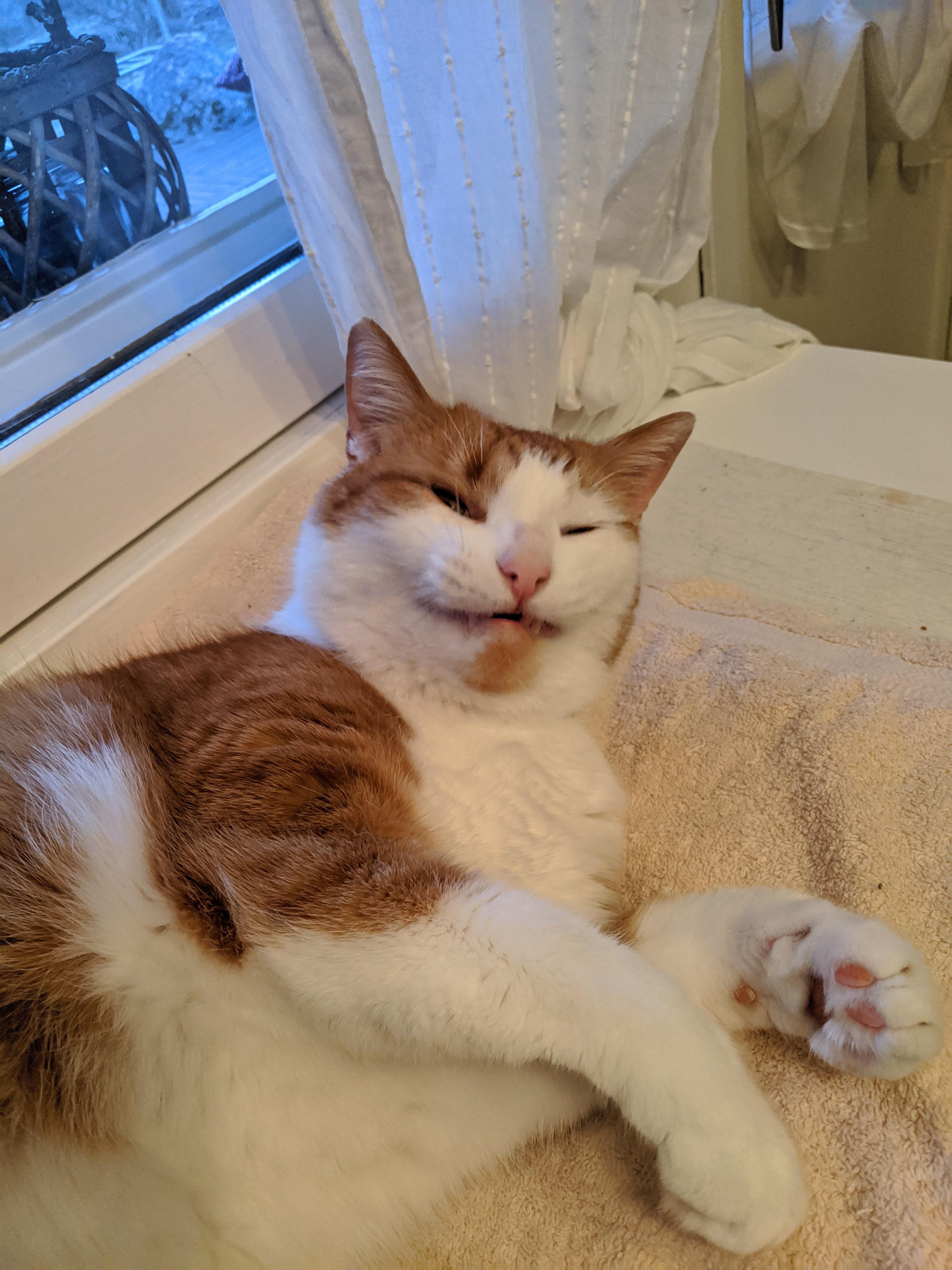 Wakey scrunge | Scrolller