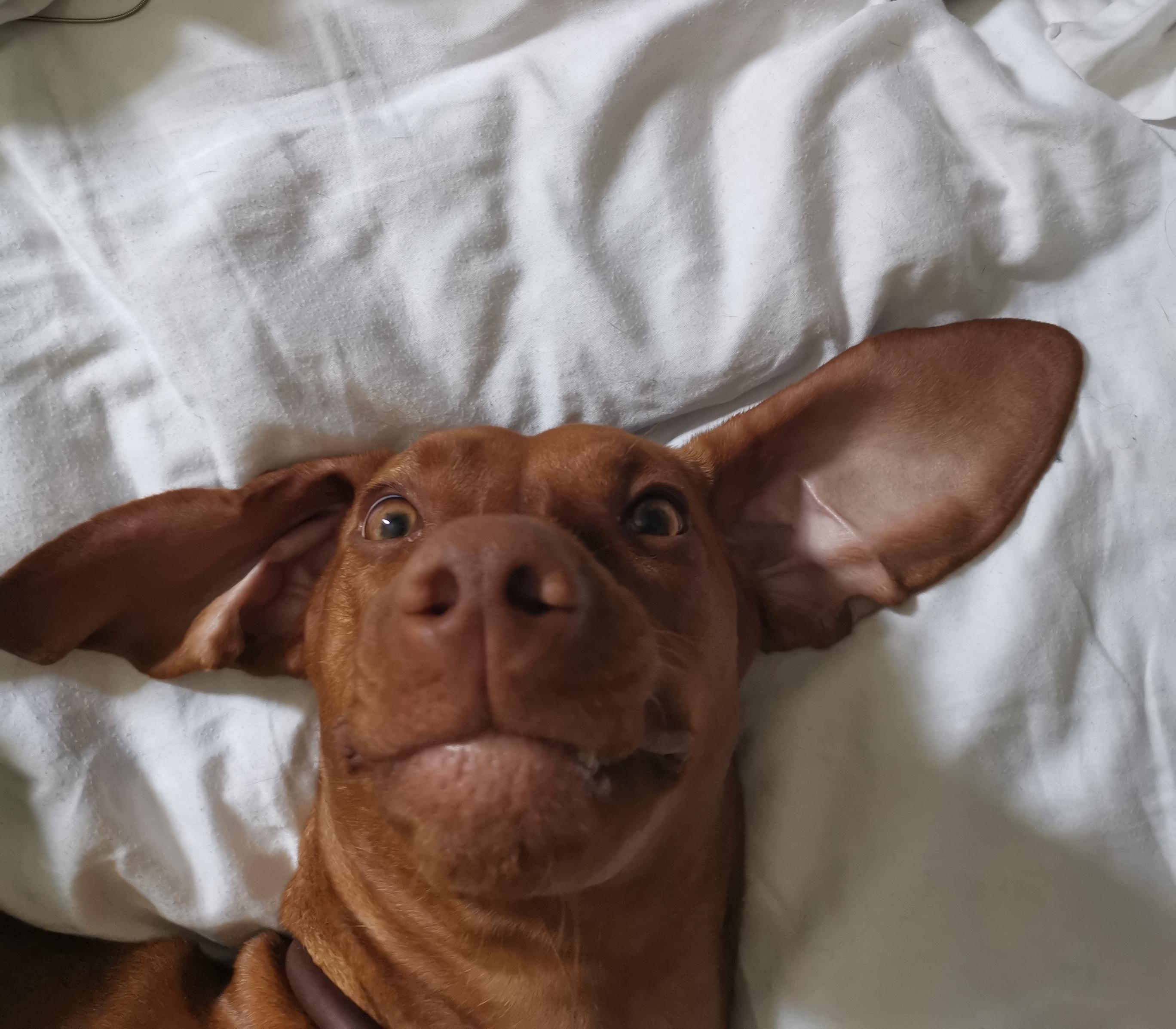 Wakey Wakey weirdo | Scrolller