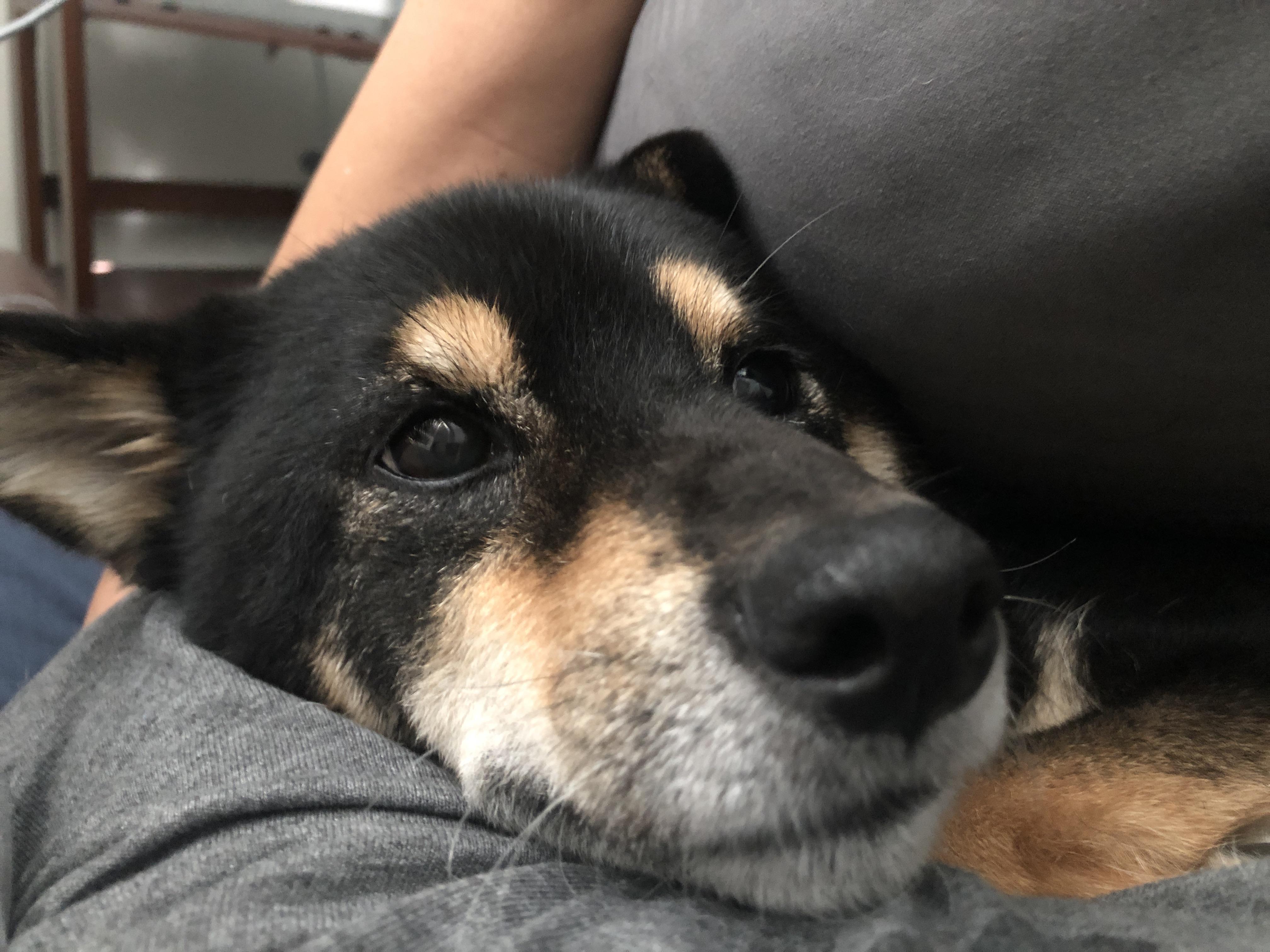 Waking up | Scrolller