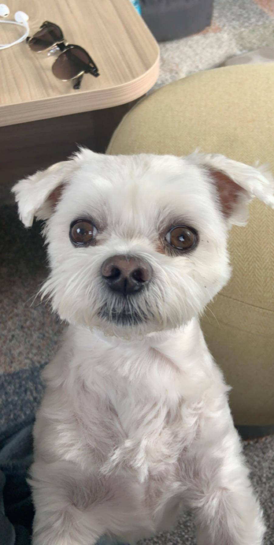 Walkies? | Scrolller