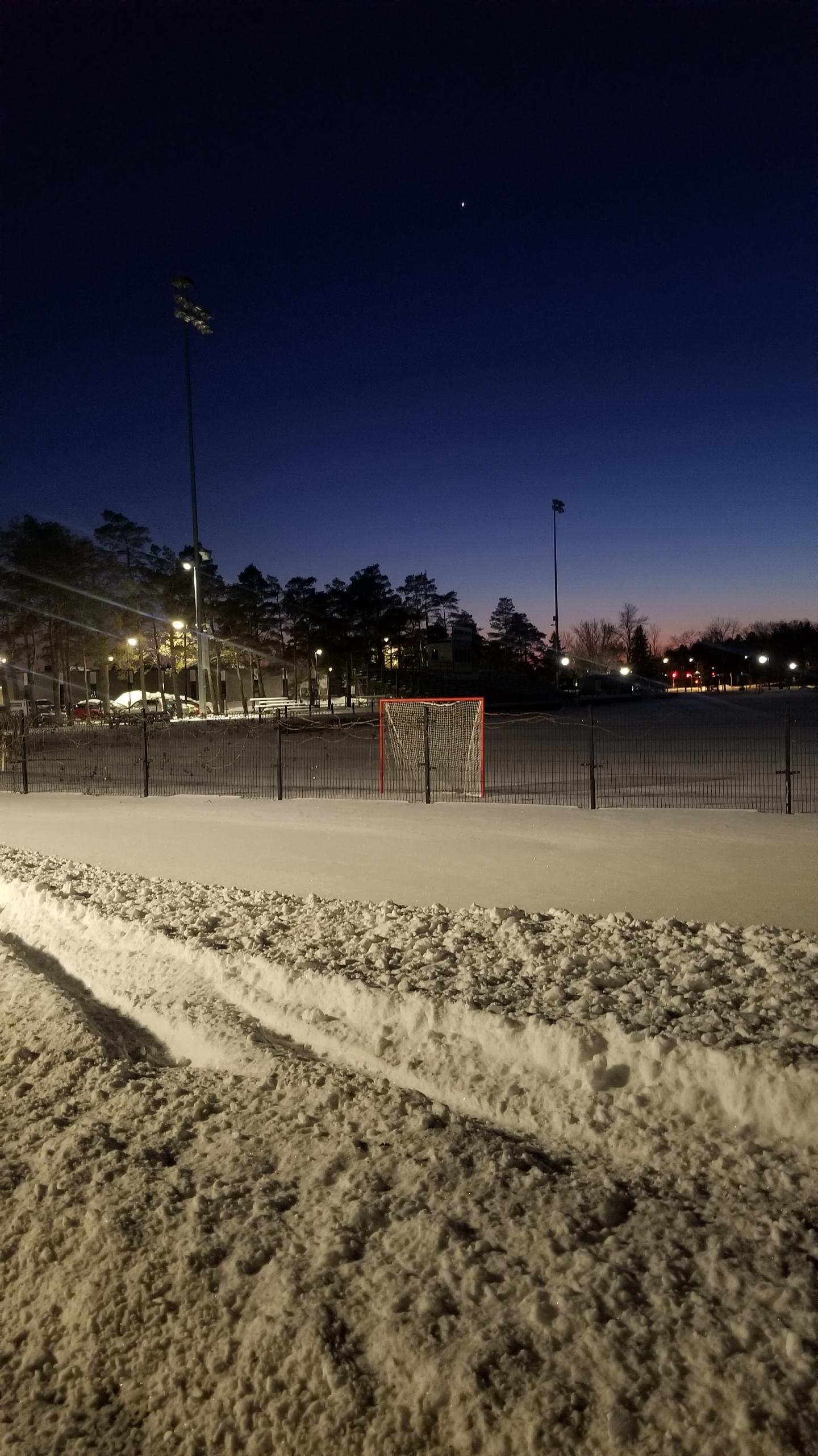 Walking back home from campus... | Scrolller