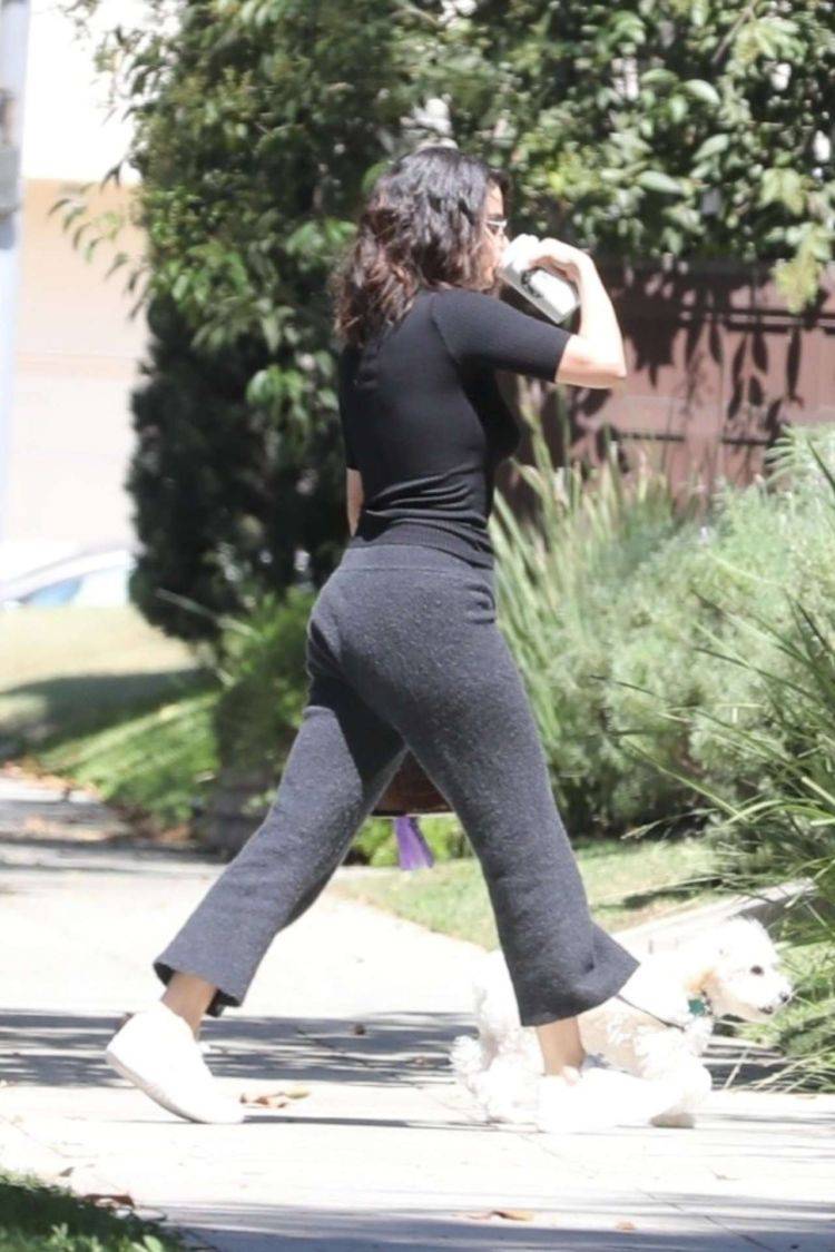 Walking the dog | Scrolller