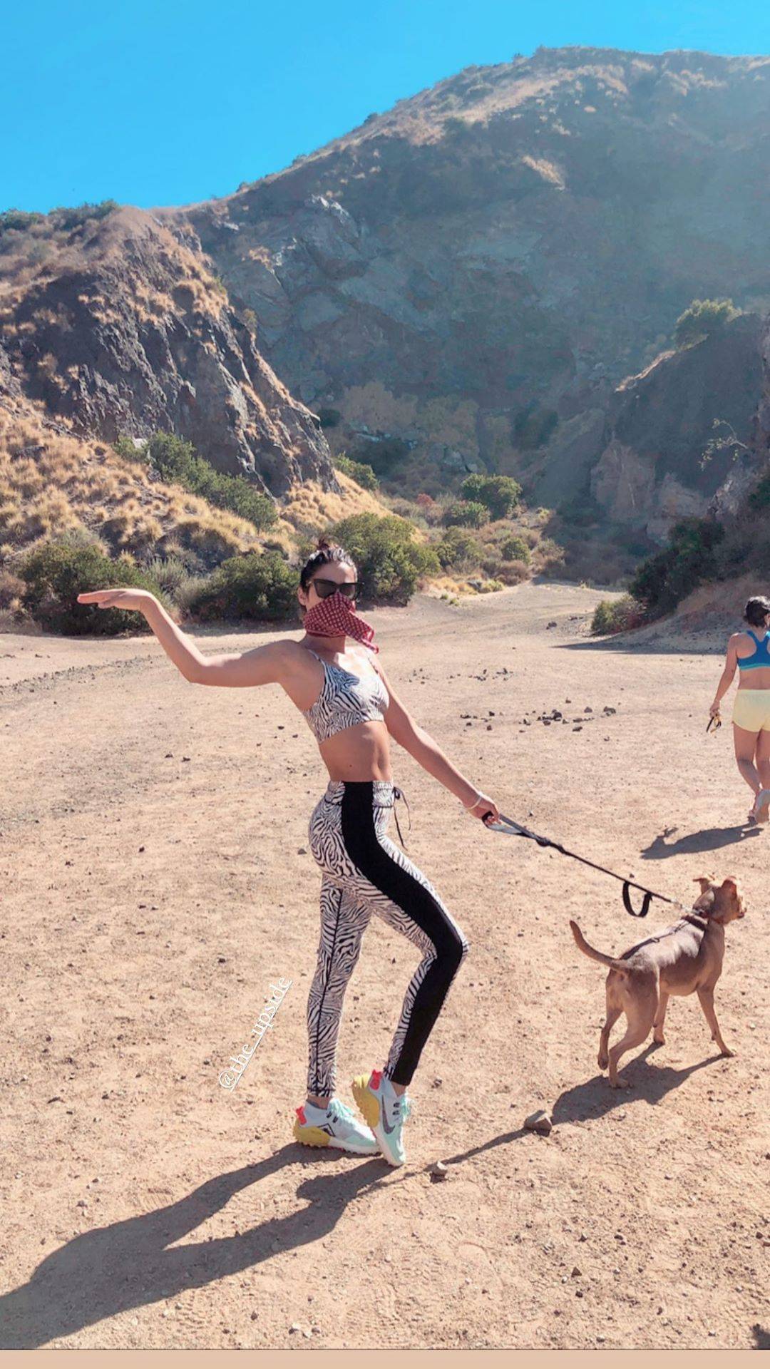 Walking the dog | Scrolller