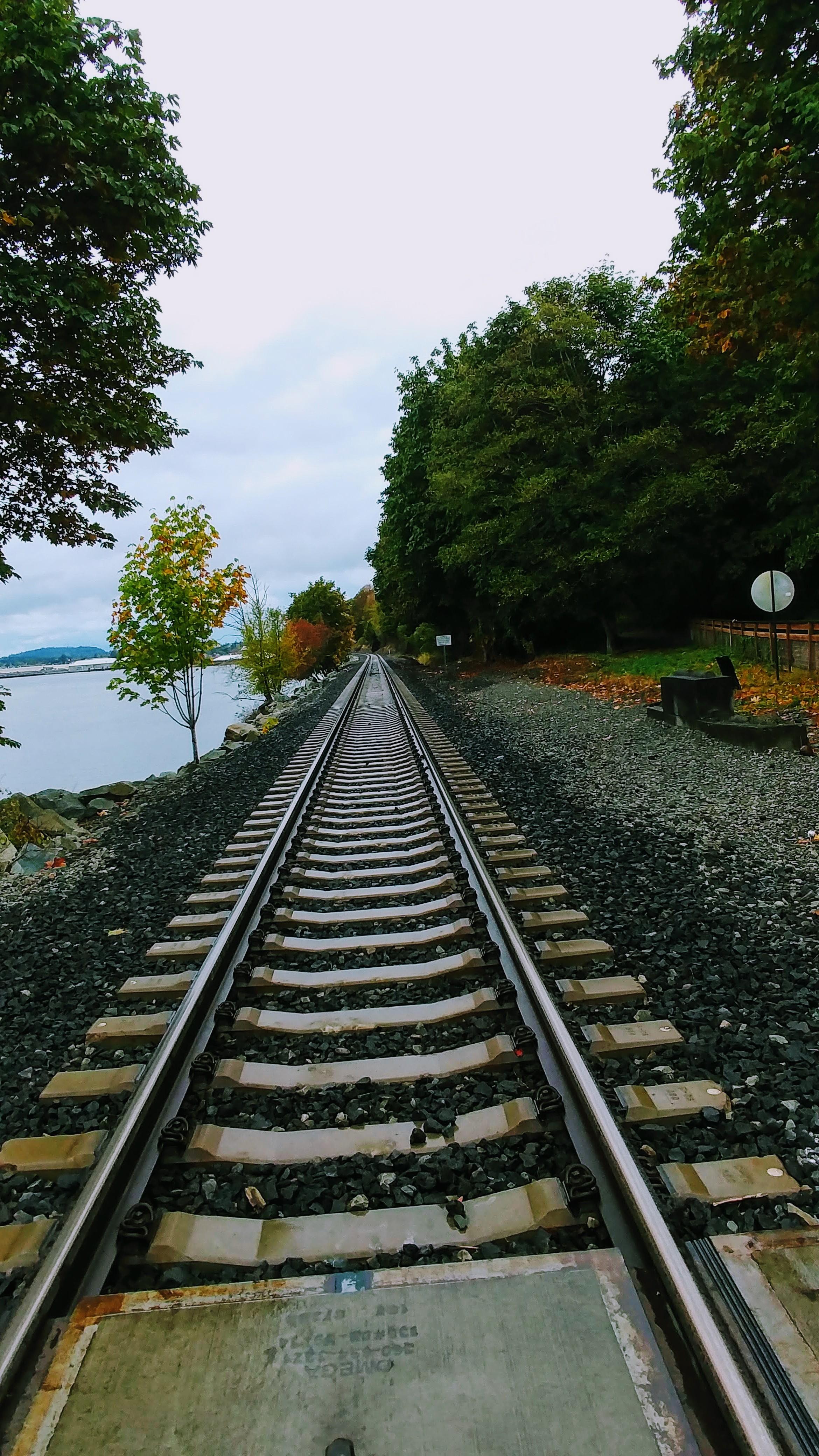 Walking train tracks Bellingham WA | Scrolller
