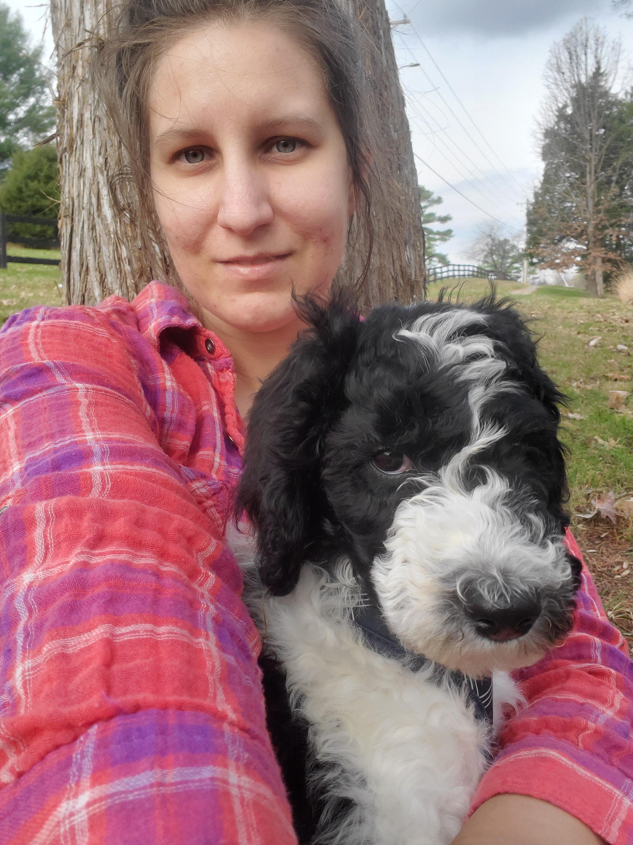 Walks How Far Is Too Far By Poodle Age Scrolller