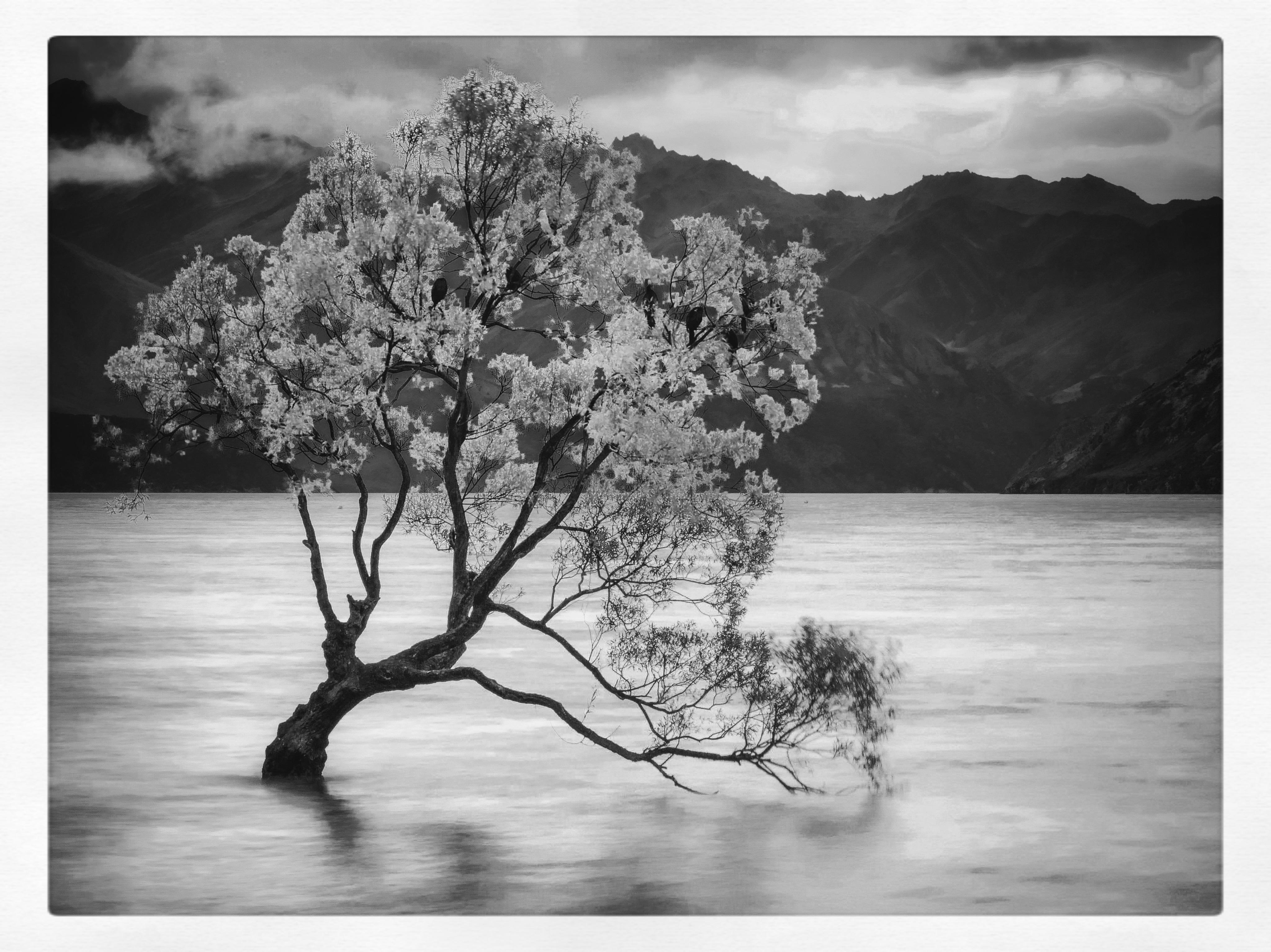 Wanaka, NZ | Scrolller