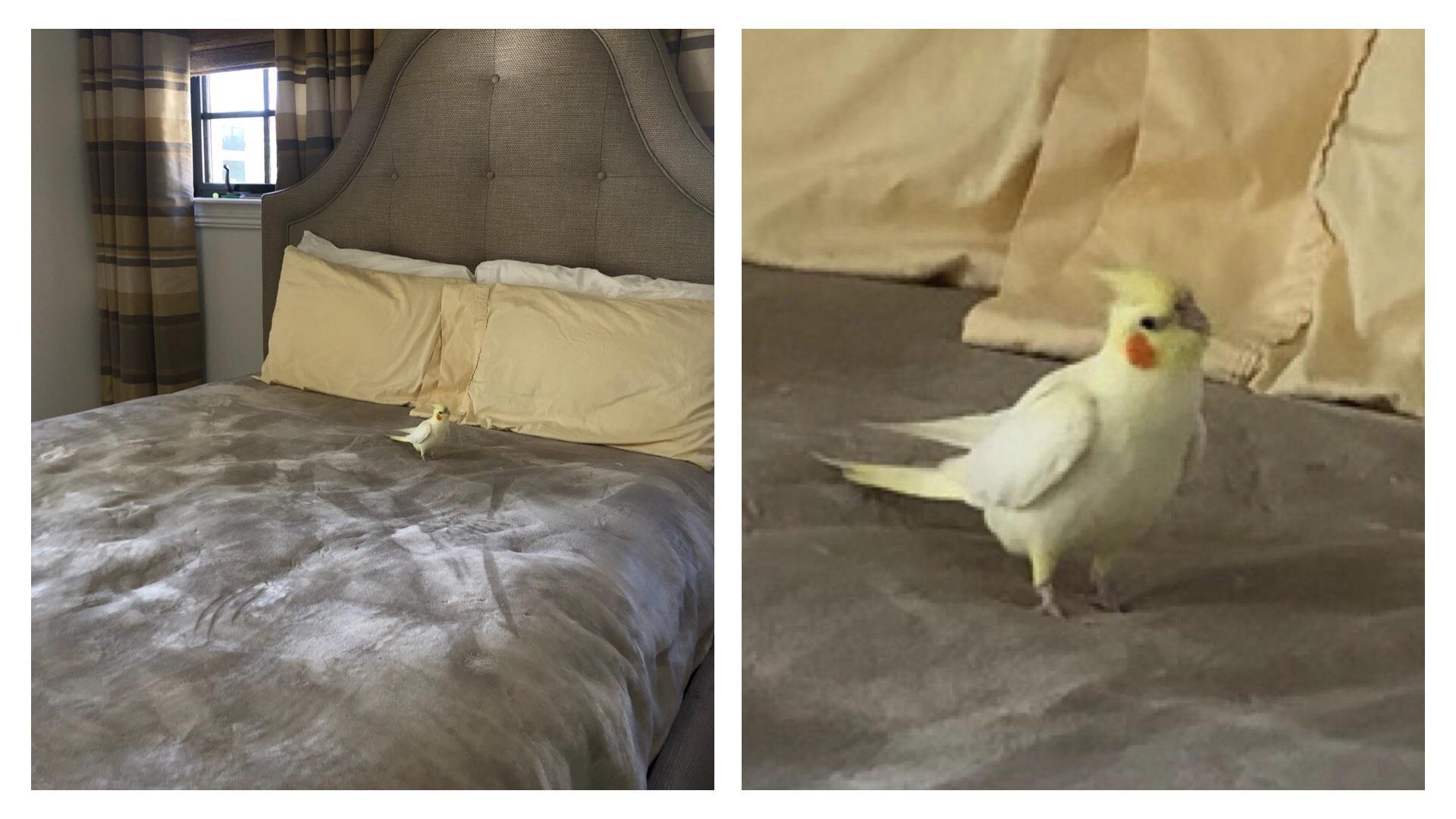 “Wanna cuddle?” | Scrolller