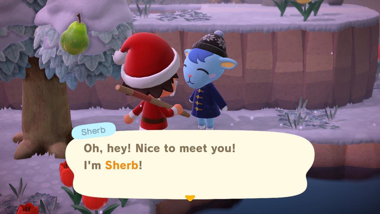 Was doing some Villager hunting on Toy Day and got Sherb on my first try! Wtf | Scrolller