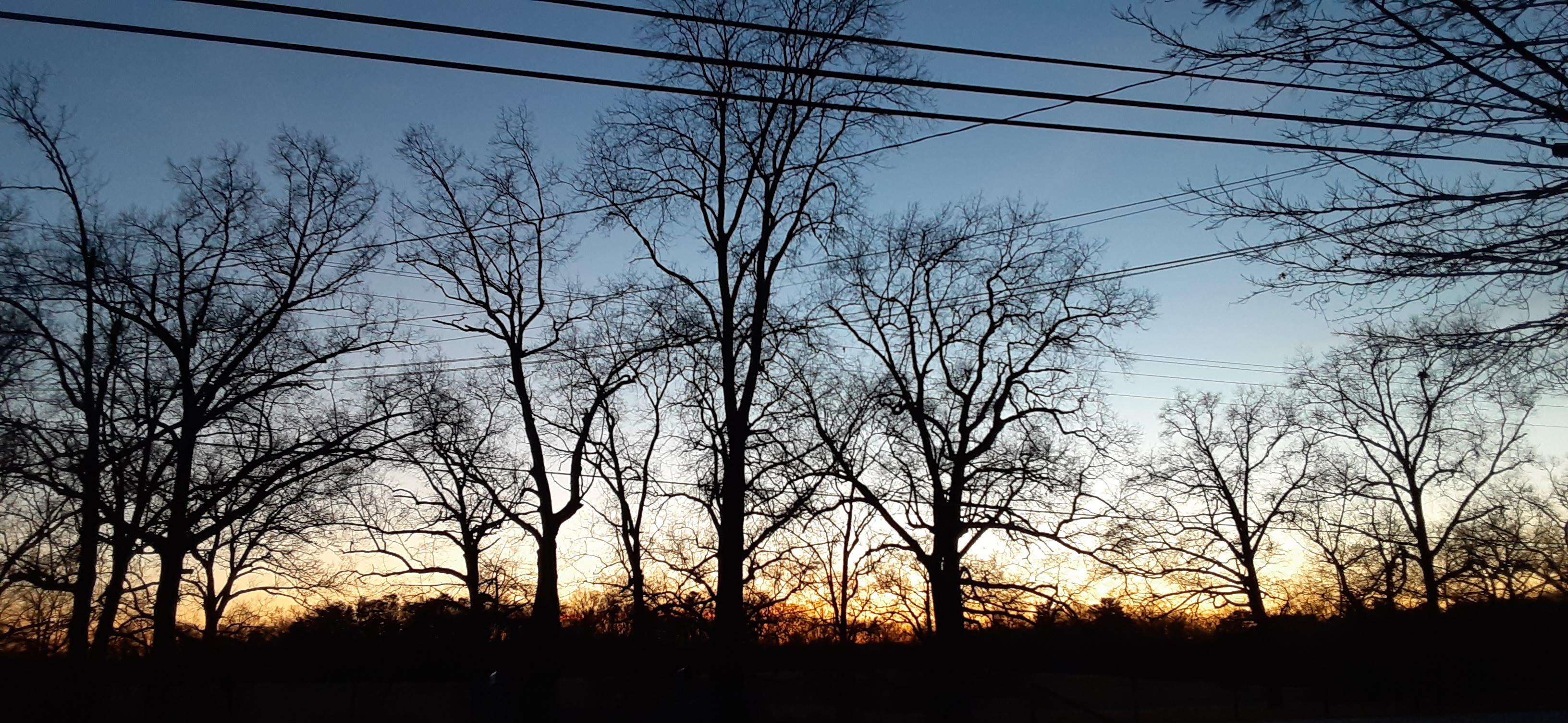 Was walking down the road a ways and stopped for a water break. Then I caught sight of this ...