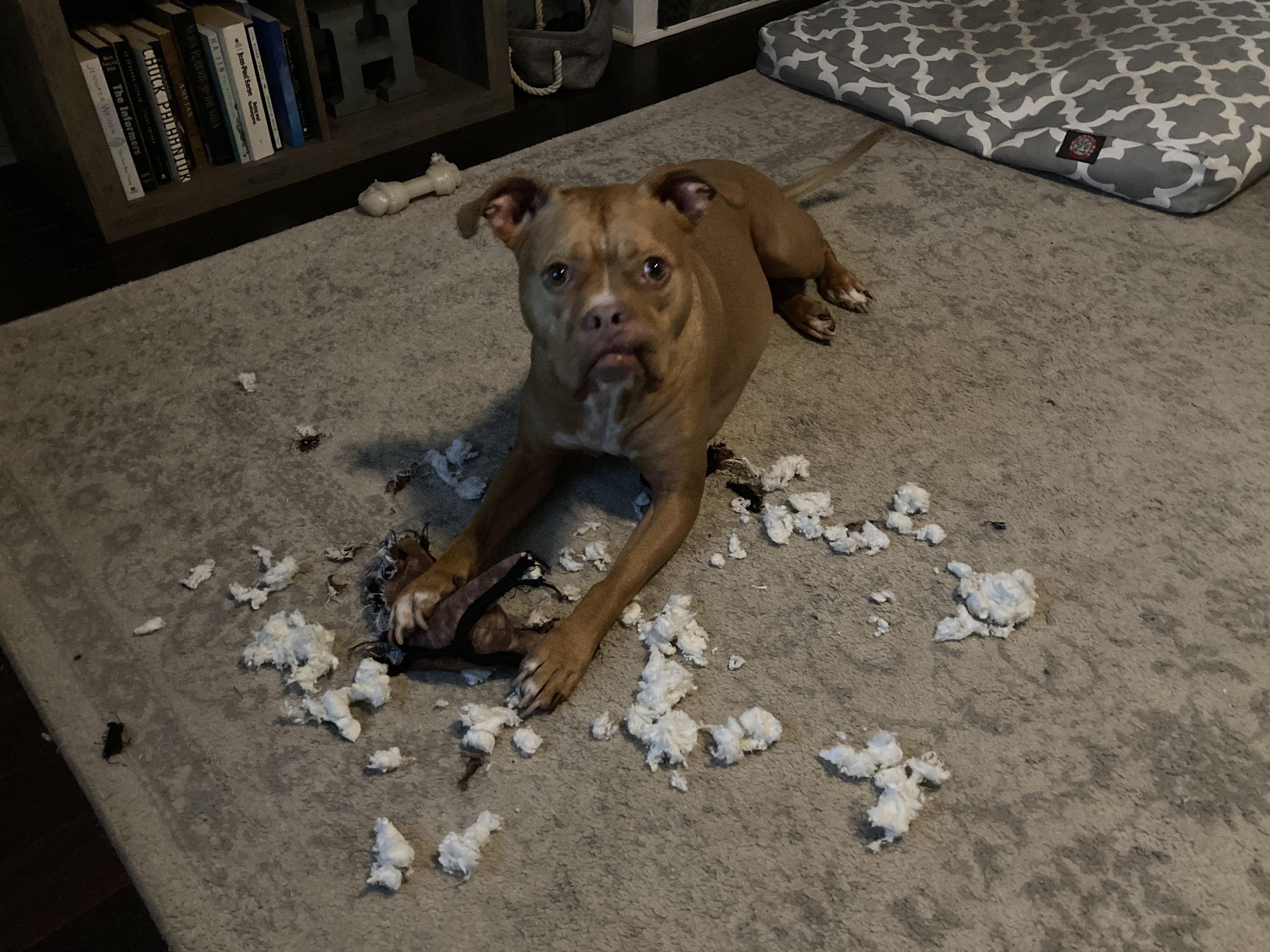 Wasn’t me... | Scrolller