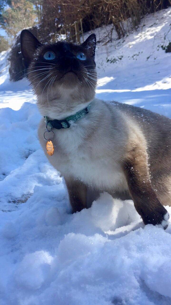 wat is this white stuff?? | Scrolller