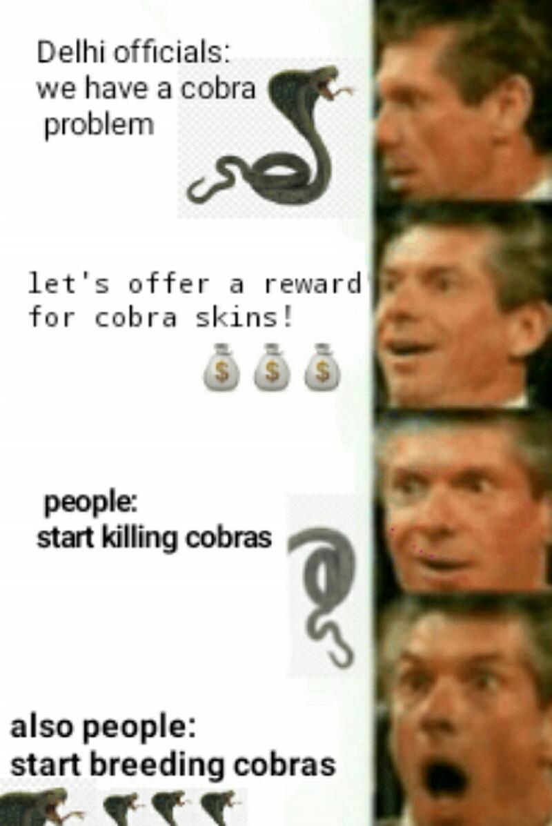 Watch out for the "cobra effect" | Scrolller