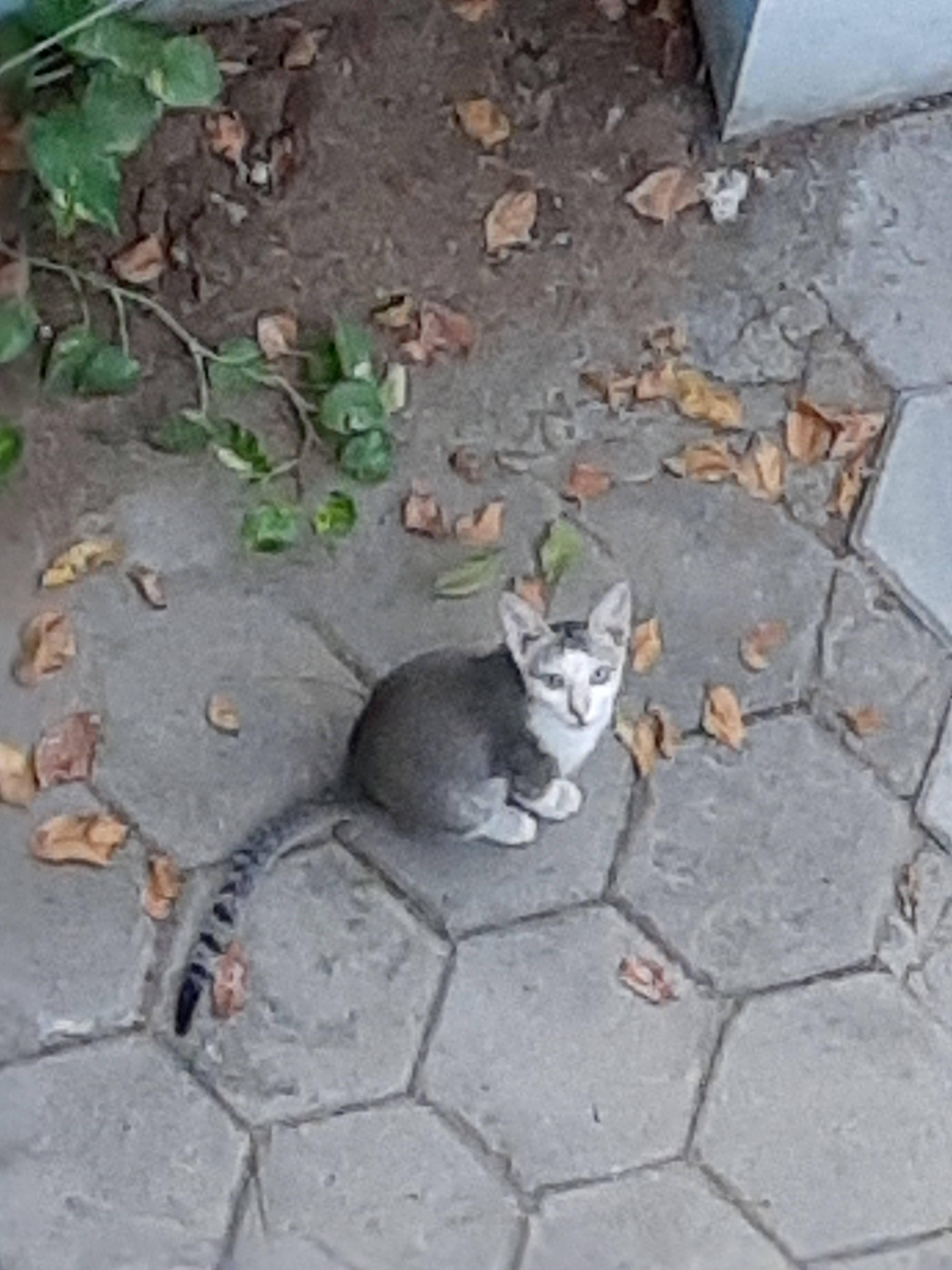 watch out instagram models | Scrolller